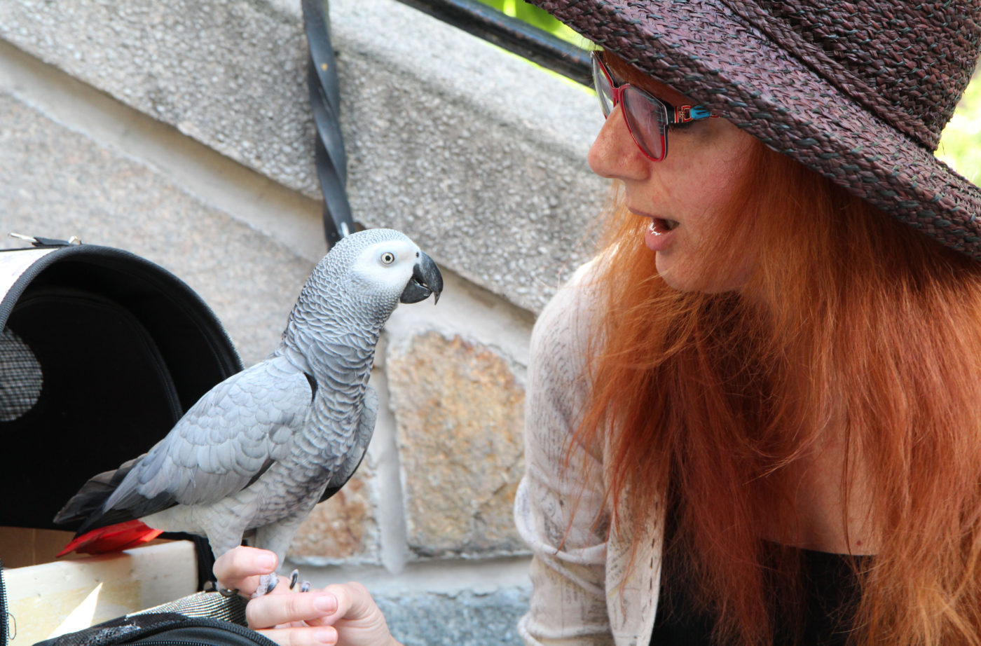 Ruhling: The Woman Who's Passionate About Parrots - Queens Ledger