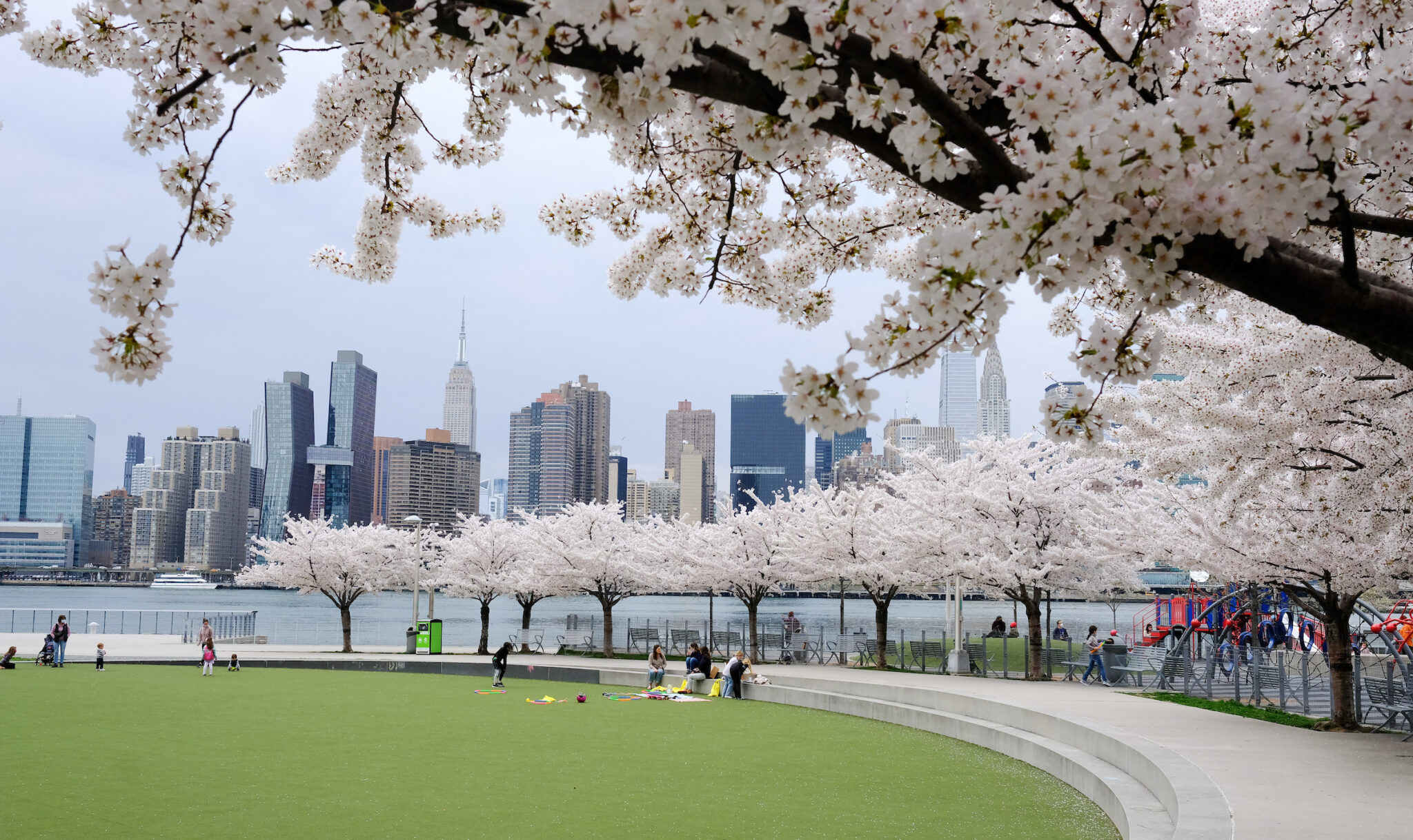 Seven Spots to See the Bloom in Queens - Queens Ledger
