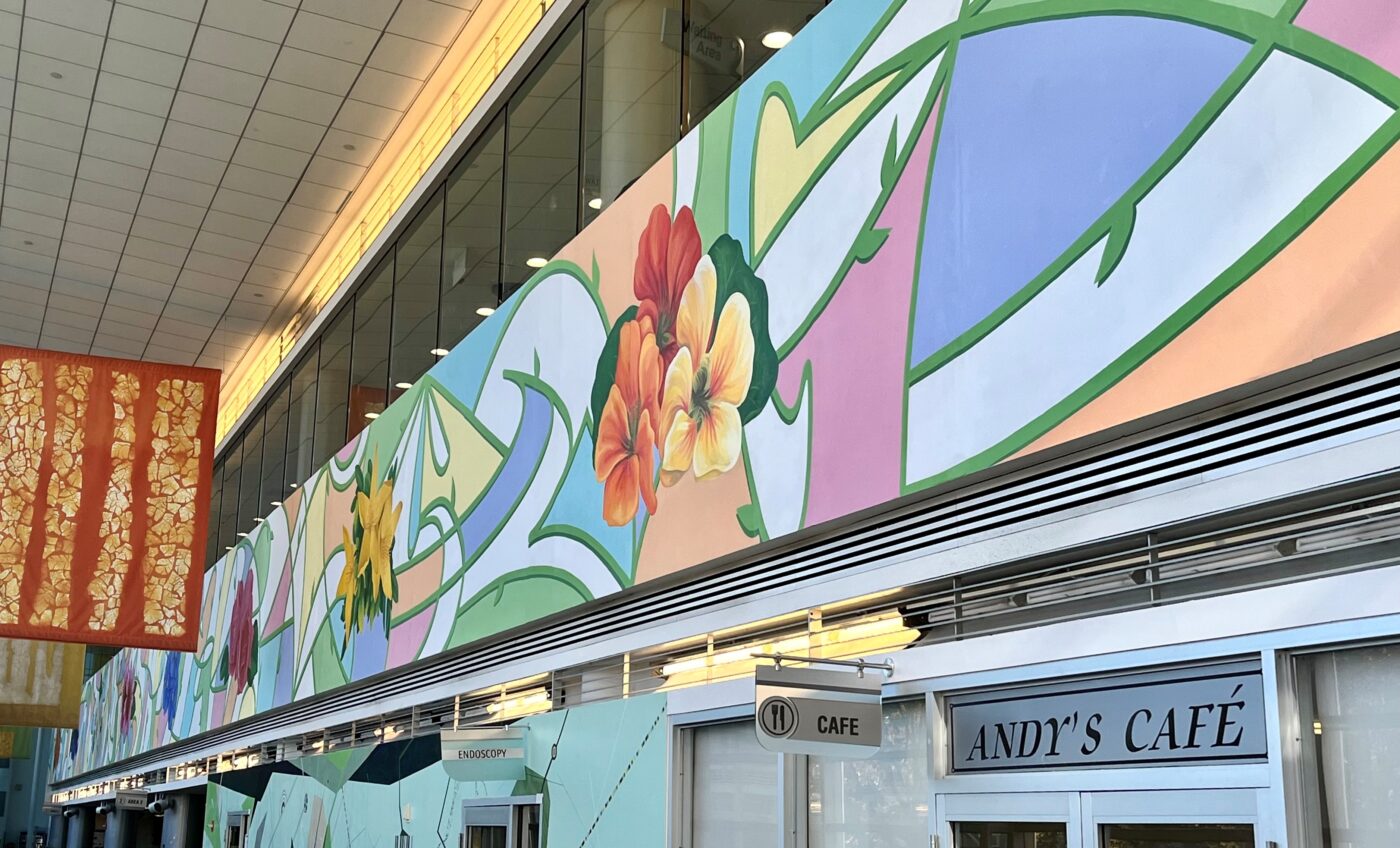 Hospital Mural by Queens Artist Zeehan Wazed Unveiled - Queens Ledger