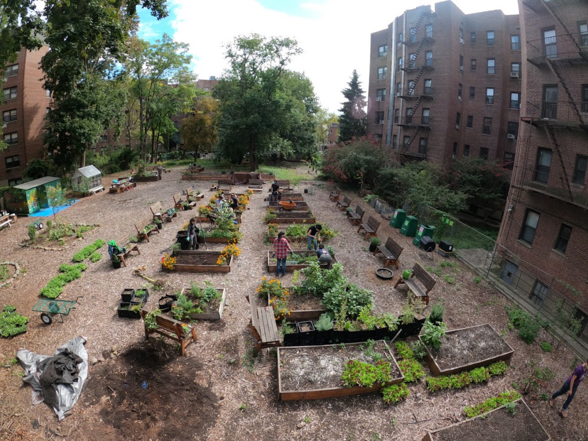 How a Community Garden in Woodside Keeps the Neighborhood Alive ...