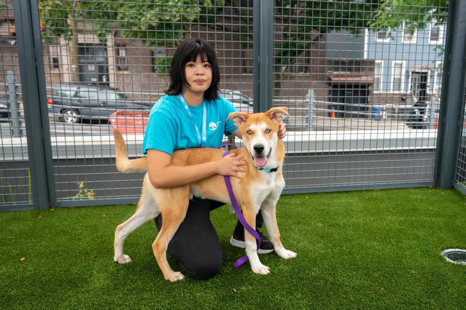 Queens Ledger Breaking news, Events Businesses Near You (Lawyers, Auto ...