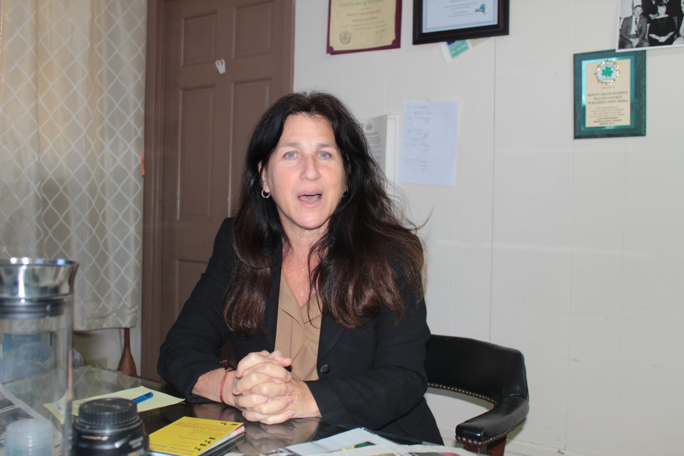 Veteran Lawyer Susan Silverman Runs for Queens Civil Court - Queens Ledger