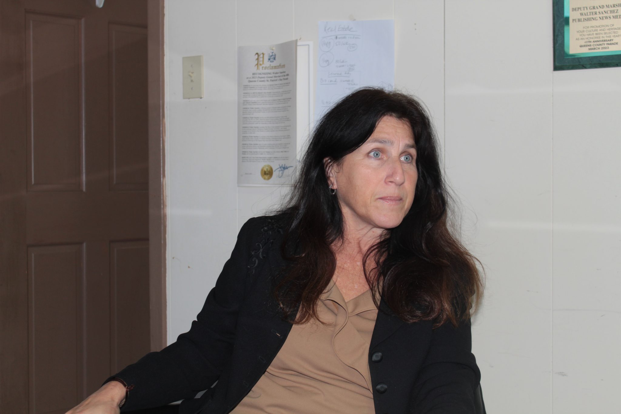 Veteran Lawyer Susan Silverman Runs for Queens Civil Court - Queens Ledger